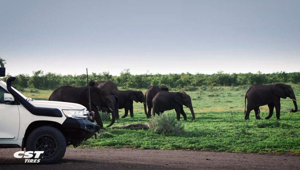 硬核测评 | 和正新AT318一起，开启南非越野探险之旅_搜狐汽车_搜狐网