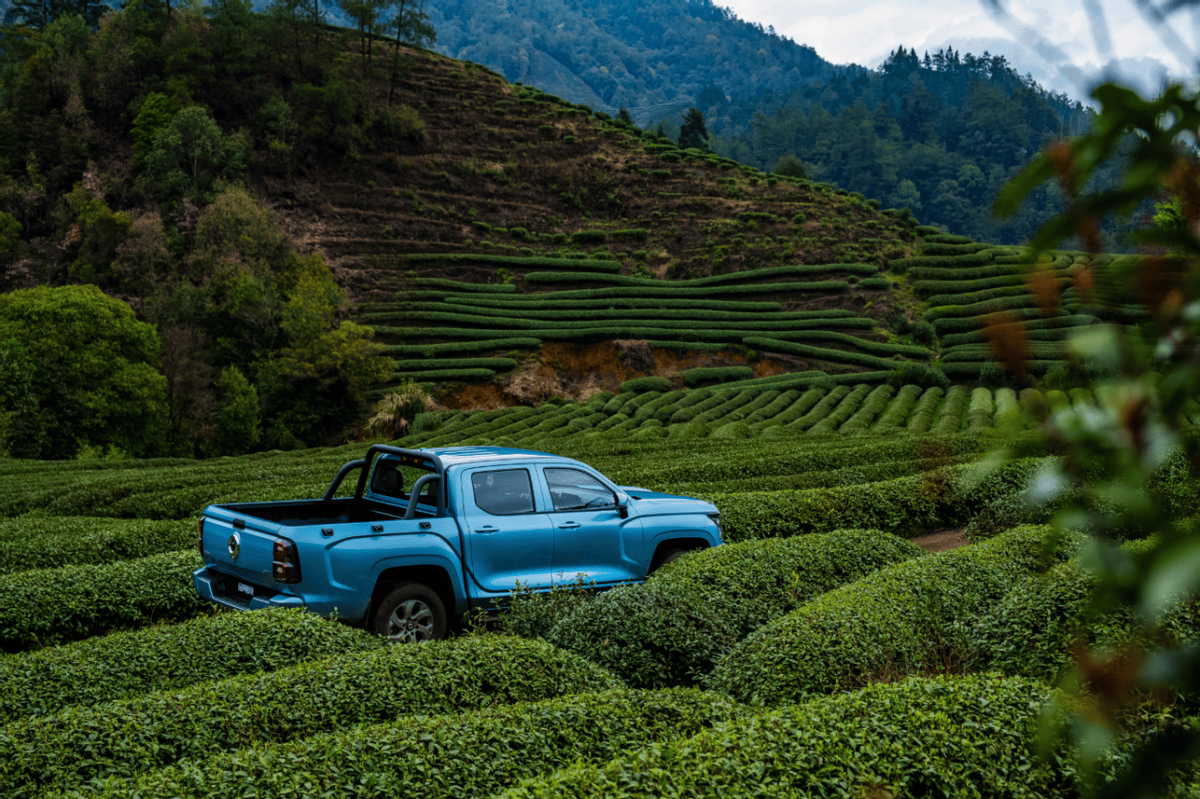 9.98万元起 10万元级8AT自动挡皮卡 长城金刚炮8AT正式上市_搜狐汽车_搜狐网