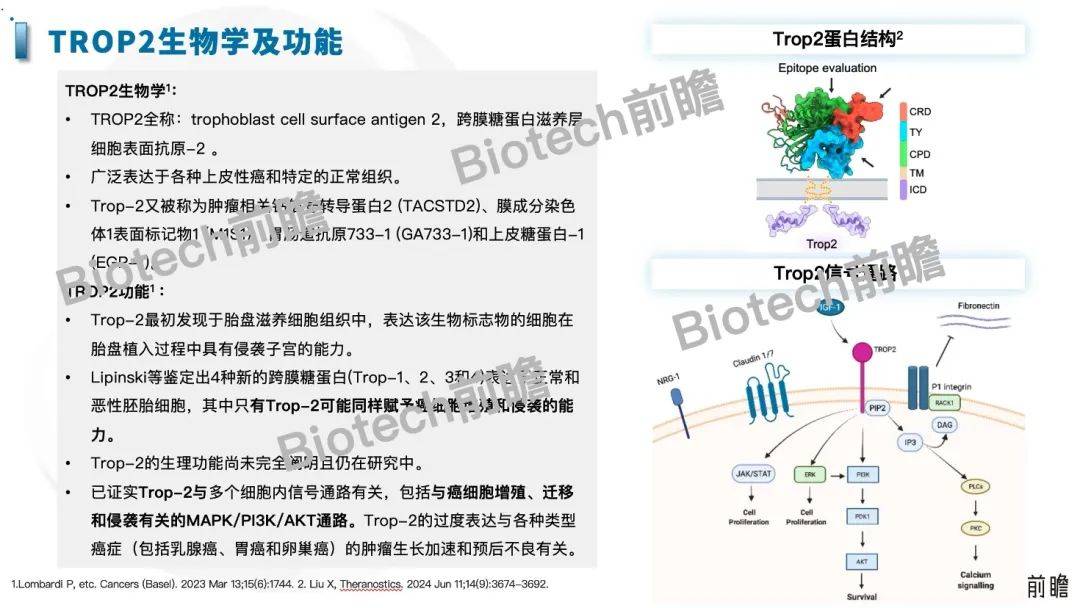 行研PPT丨【ADC重磅产品】深度分析—科伦博泰SKB-264_Trop_药物_细胞