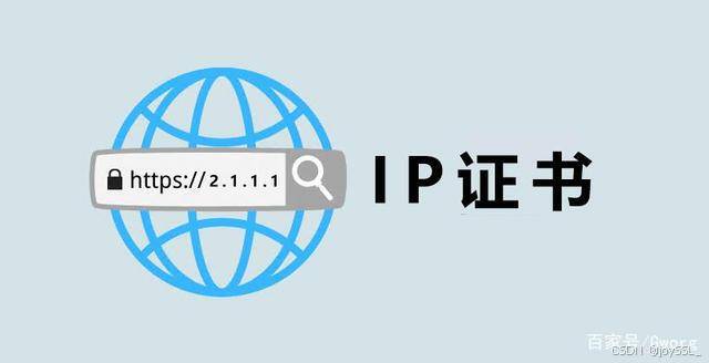 没有域名只有IP地址怎么申请证书_JoySSL_所有权_服务