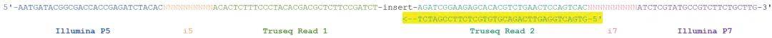 一文搞懂 Illumina 接头序列_Index_文库_Truseq