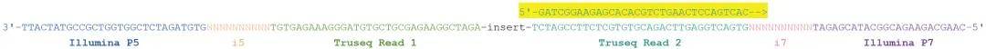 一文搞懂 Illumina 接头序列_Index_文库_Truseq