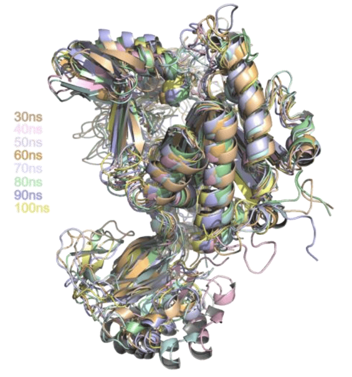分子动力学模拟（Molecular Dynamics Similation）技术服务_蛋白质_结构_体系