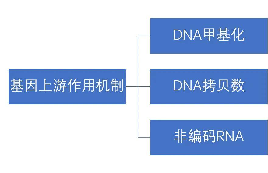 99%的eQTL、pQTL文章都没有研究作用机制，你创新的机会来了！_基因_结局_科研