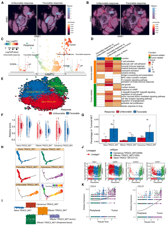 IF=48.8|通过类器官共培养验证食管鳞癌免疫治疗反应_细胞_研究_帕博利