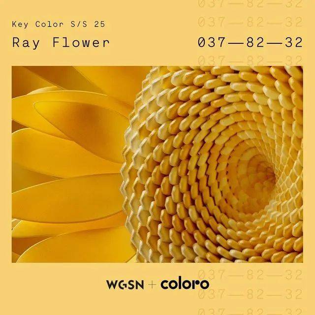 2025年五大关键流行色！_Coloro_色彩_Awe