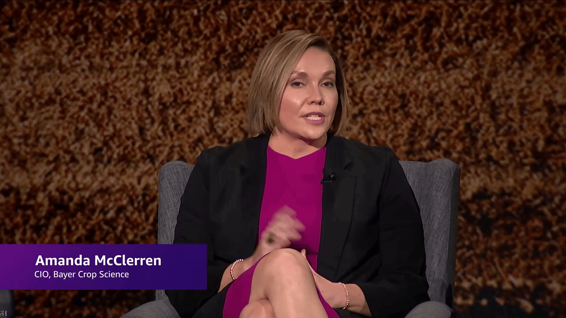 Ruba Borno 博士的亚马逊云科技合作伙伴主题演讲_客户_服务_with