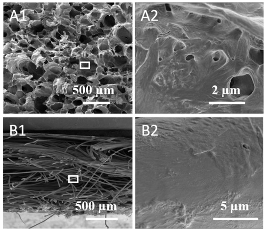 PGA Biofelt植入级无纺布聚乙醇酸 (PGA) 是一种可快速生物降解的聚合物，可用于各种植入物_支架_研究_荧光