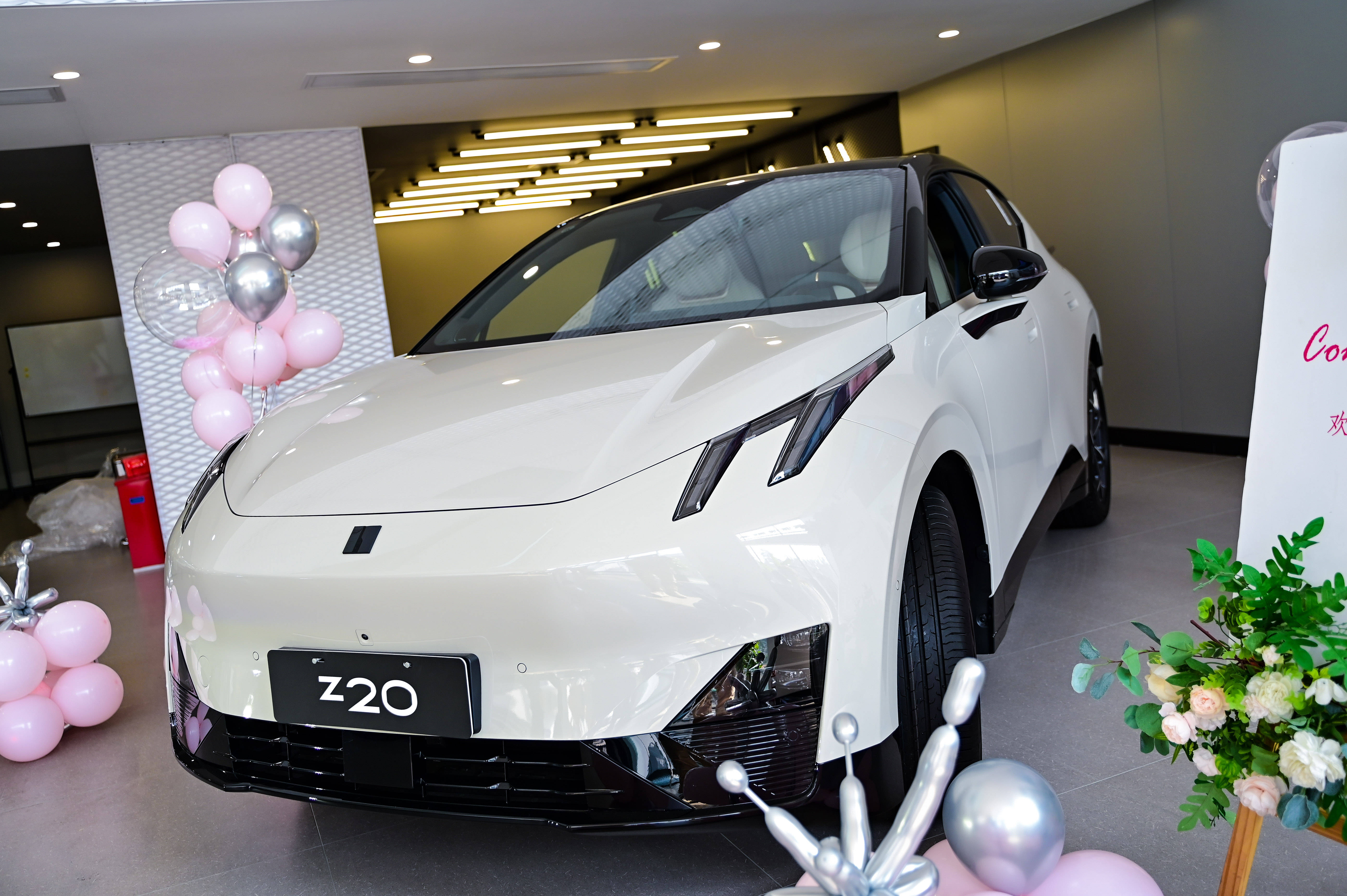 13.59万起，领克Z20是年轻人最想要的电动SUV吗？_搜狐汽车_搜狐网