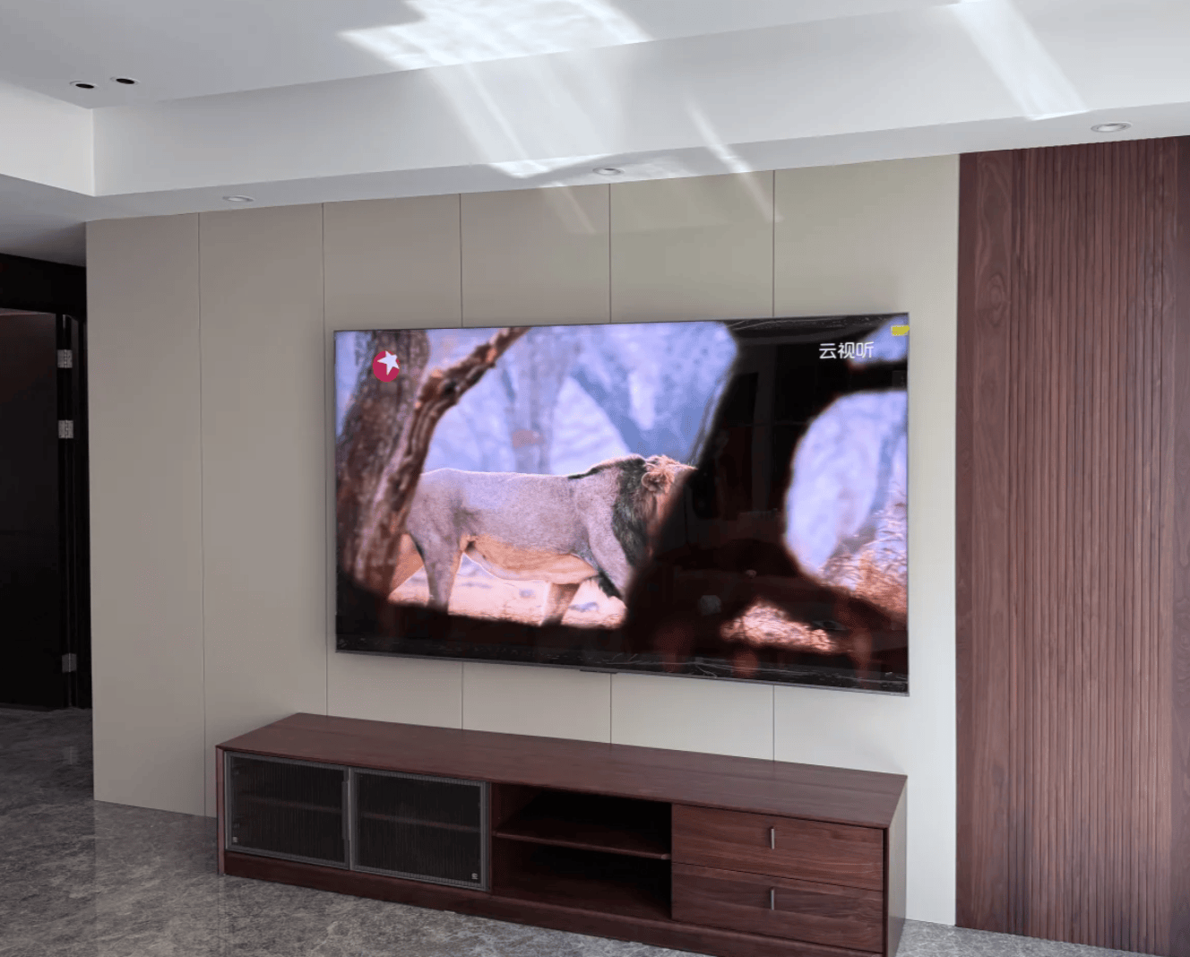 电视机买海信E7NPro还是TCLQ9LPro好？过来人巅峰对比揭晓_尼特_场景_音效