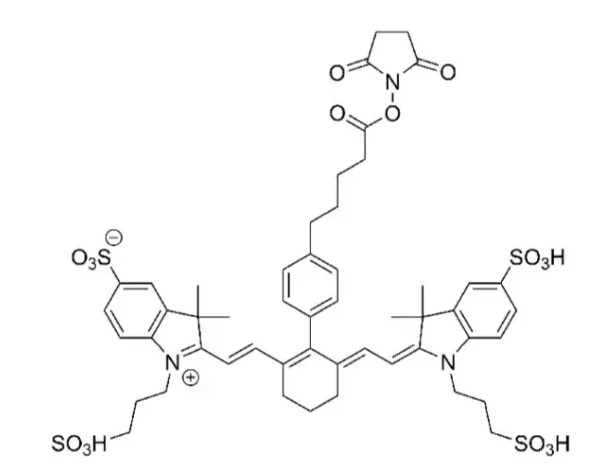 IR 750 活性酯，IR 750 NHS ester，适用于活细胞或深层组织成像