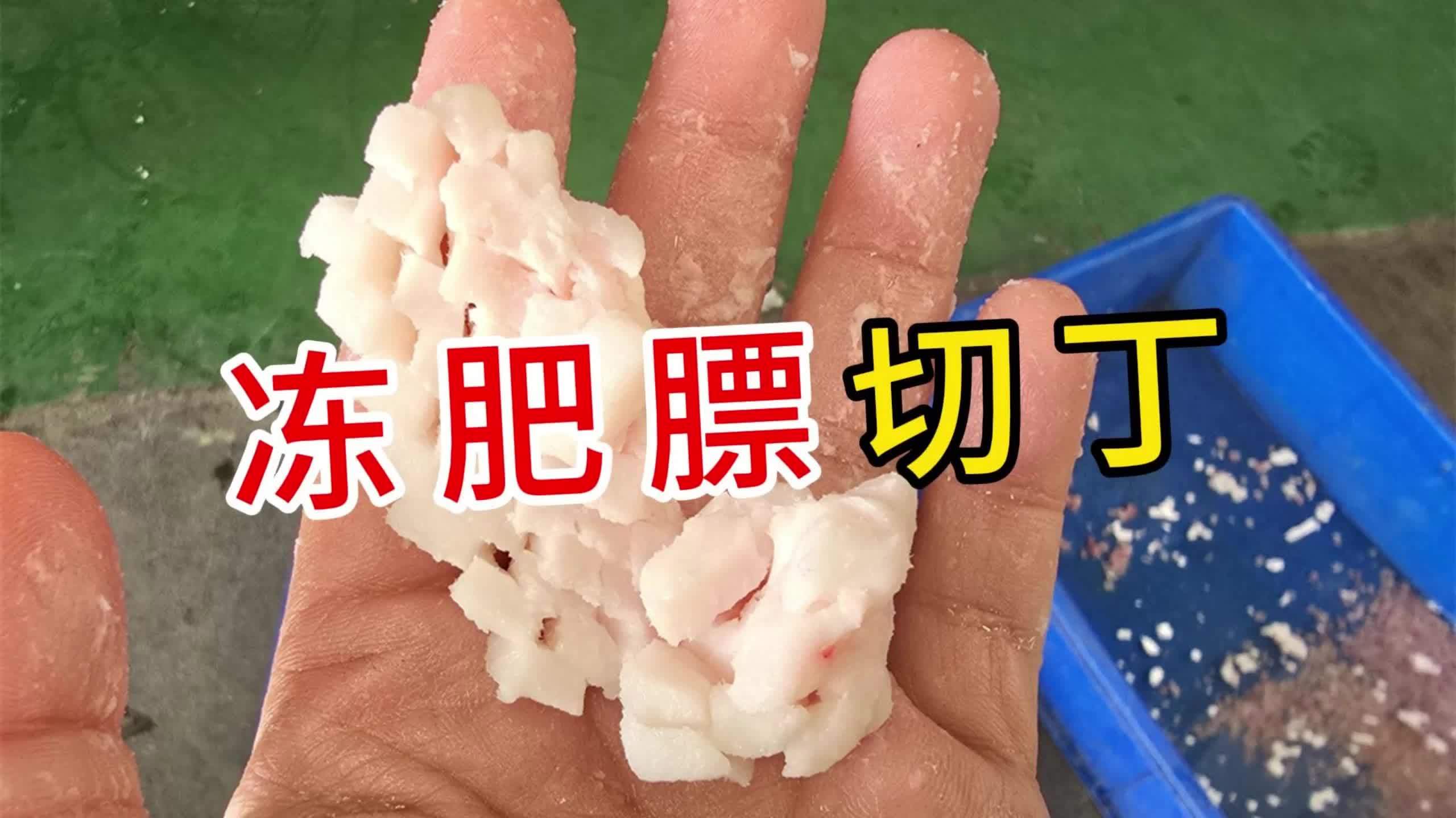 肉馅5mm小方丁加工，冻猪板油肥膘切丁机视频