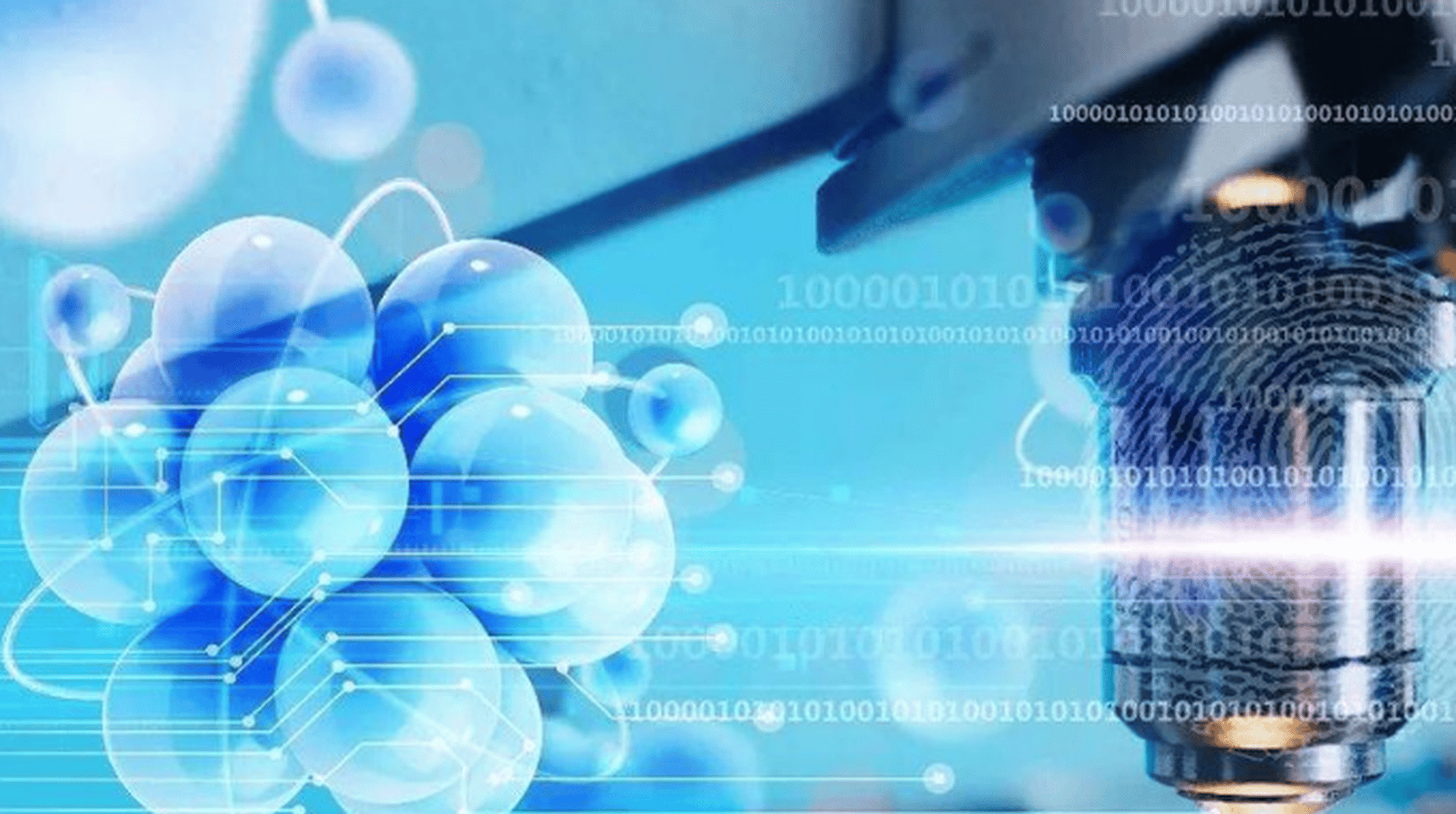 iFluor 488 phalloidin，鬼笔环肽-iFluor 488标记