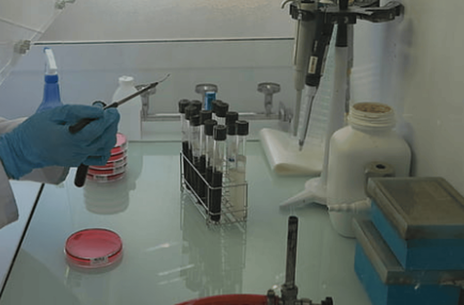 Thiols-PEG-NH2，巯基PEG氨基广泛用于纳米粒子或的修饰