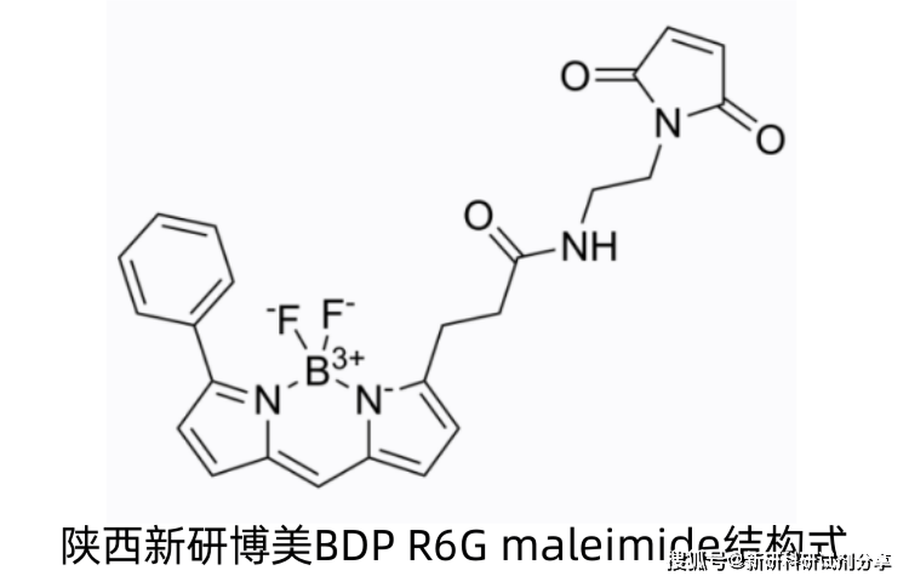 BODIPY R6G MAL，2183473-32-5，硼二吡咯R6G马来酰亚胺是一种荧光染料