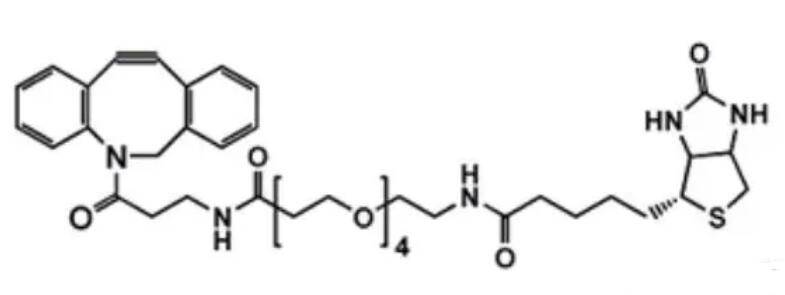 1255942-07-4，Dibenzocyclooctyne-PEG4-biotin-搜狐大视野-搜狐新闻