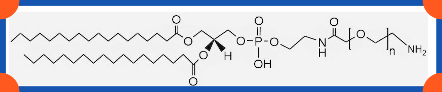 DSPE-PEG2k-NH2，Phospholipids-PEG-NH2-2k是一种脂质体形成剂_试剂_氨基_纯化