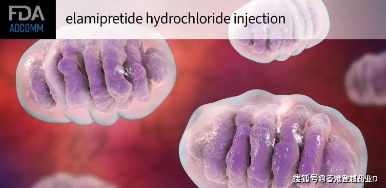 FDA 专家组支持批准 Stealth 的 elamipretide_Barth_治疗_综合征