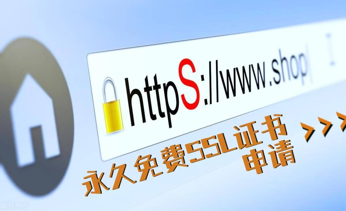 永久免费https证书申请_JoySSL_机构_Layer