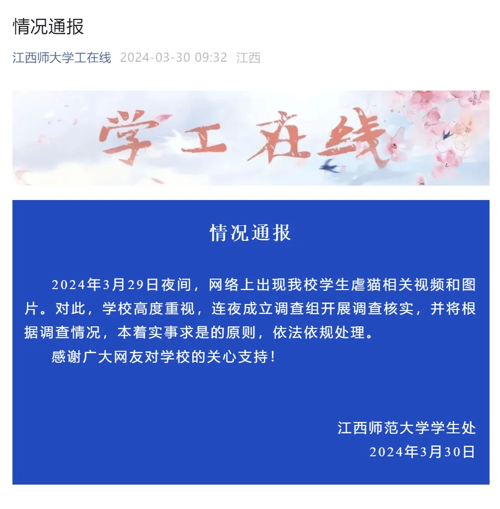 虐猫、传播淫秽视频他被开除学籍!调查相关新闻
