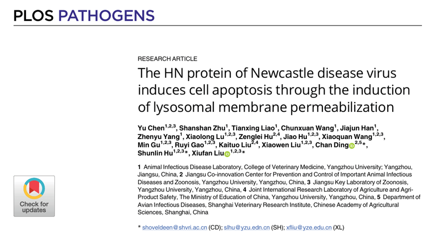 PLoS Pathog.I 新城疫病毒HN蛋白通过诱导溶酶体膜通透性诱导细胞凋亡_研究_线粒体_触发