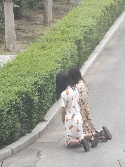 沈阳两女子清晨跪地一小时遭体罚?真相是…… 回应 小区 视频