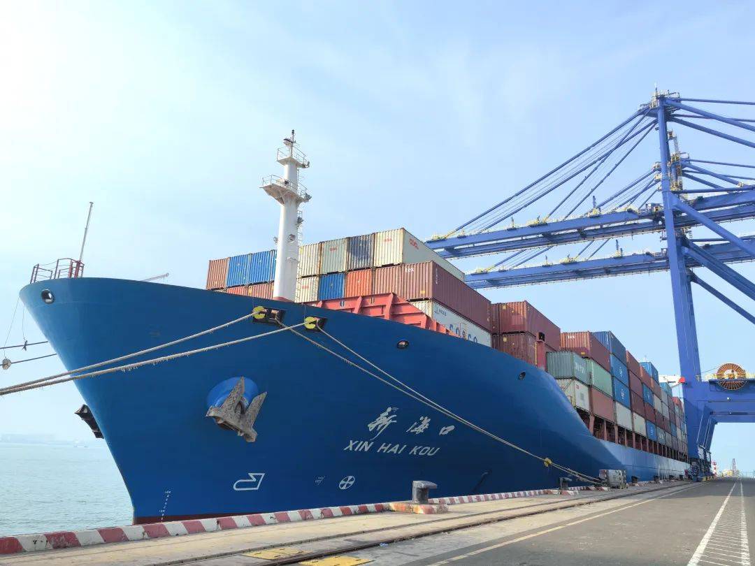 中远海控新增“海南—中东直航”MEX航线_洋浦_建设_集装箱