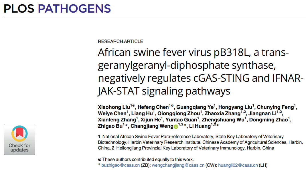 PLoS Pathogens | 中国农科院哈尔滨兽医研究所研究团队发现非洲猪瘟病毒免疫逃逸新机制_蛋白_基因组