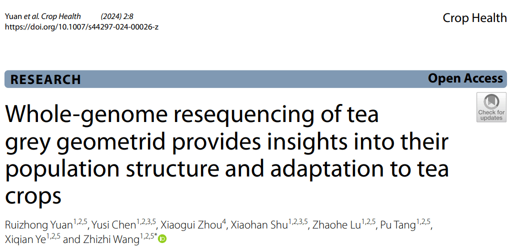 茶尺蠖全基因组重测序揭示了其种群结构和适应茶树的机制_Tea_grey_the