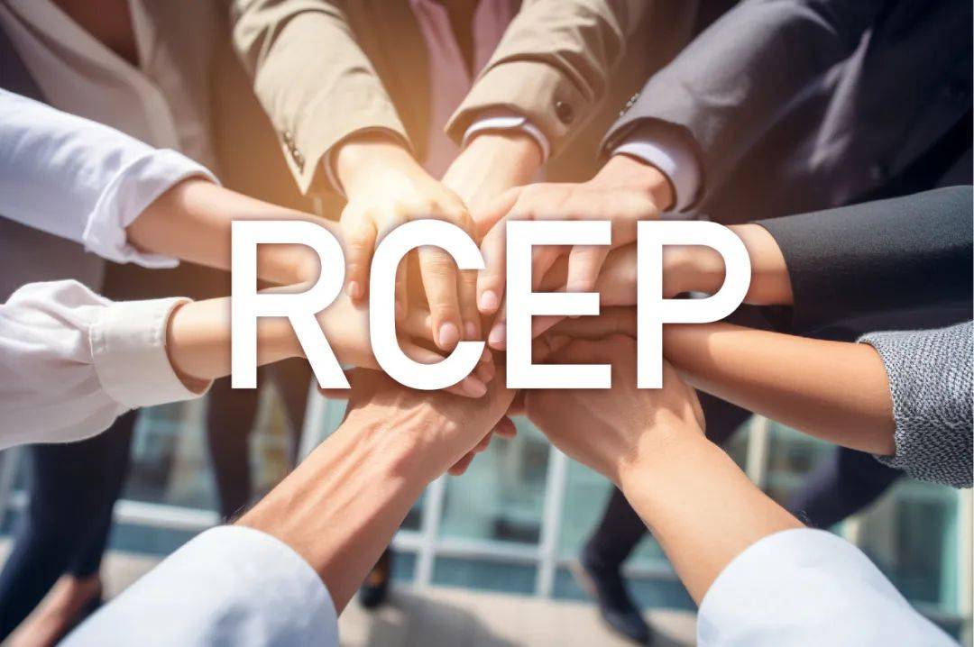 商务观察丨一年了，RCEP“朋友圈”又有哪些新故事？_企业_进出口_公司