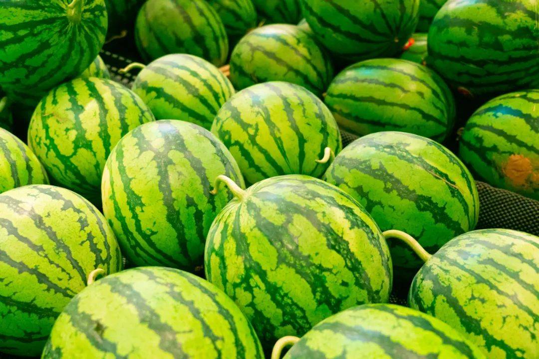 夏季腹泻高发，如何正确用药？_治疗_药物_脱水