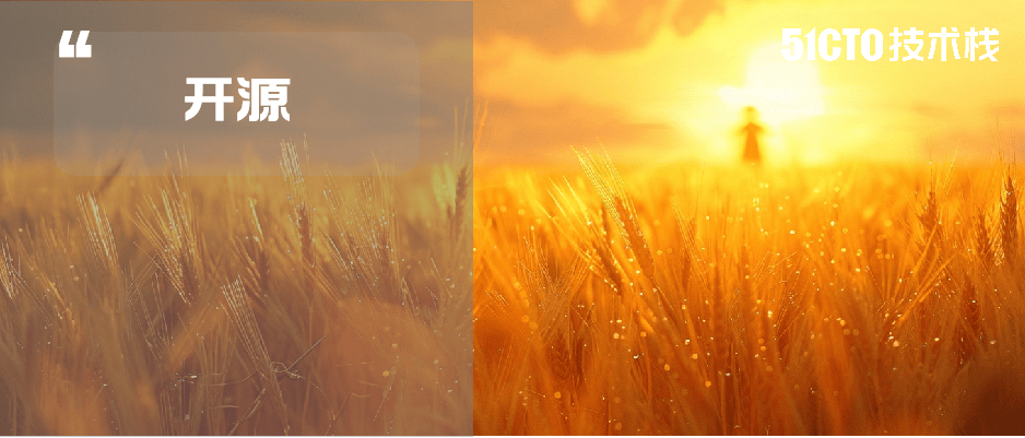 核心Python开发者被停职3个月！执行工作组透明度遭质疑，“开源项目《行为准则》可能导致彻底的内部分裂！”_Peters_Tim_社区