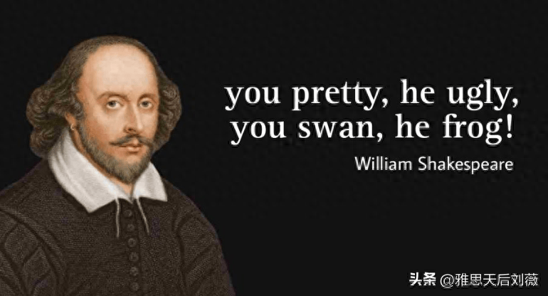 “You Swan, He Frog”中式英语火爆外网！词汇量也挡不住国人输出_no_牛津词典_中国