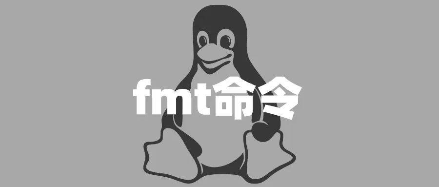 Linux 文本格式化神器：fmt 命令的强大用法解析_选项_调整_文件