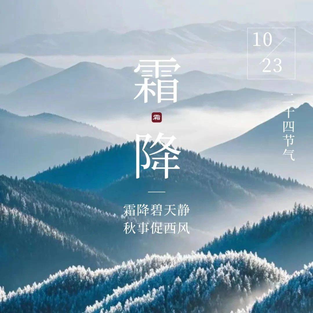 今日霜降丨它是霜降“黄金果”，大量上市中！秋天吃润透！_柿子_苹果_水果