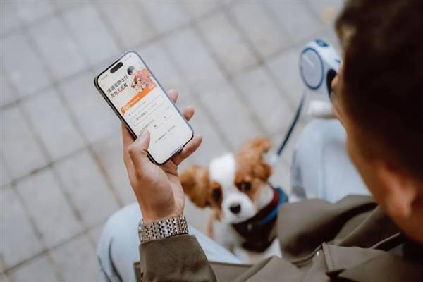 滴滴宠物快车服务全国上线！带宠出行更便捷，拒载烦恼不再有！_用户_乘客_itbear