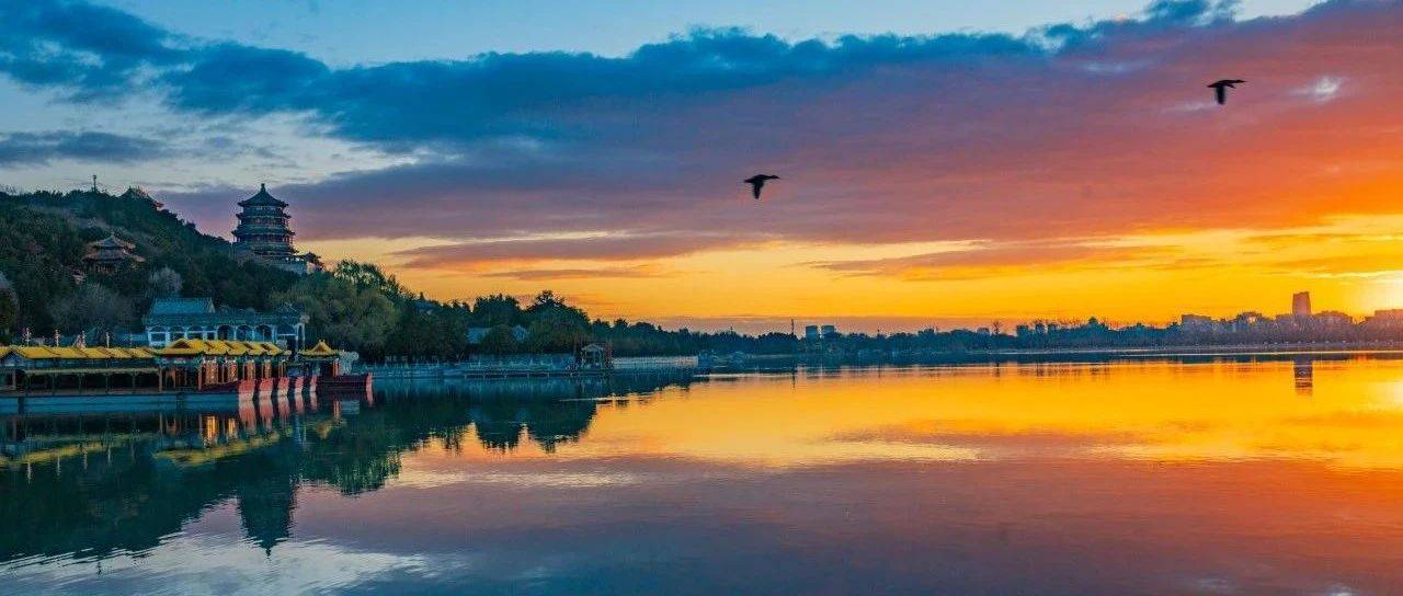 “京城拍客”当日精选（20241129）_朝霞_霞光_天鹅