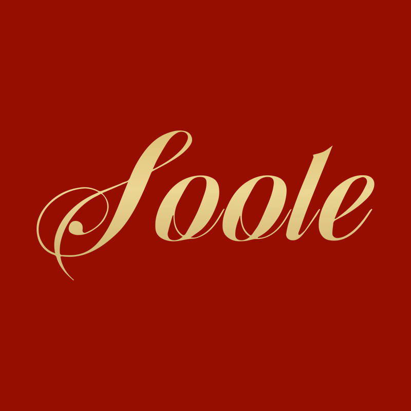 宁夏贺兰山东麓：搜了soole葡萄酒的黄金产区与非凡风味_酿酒_土壤_技术