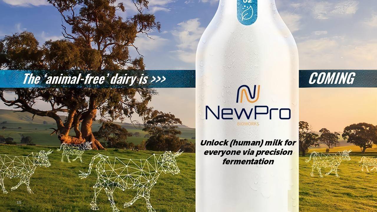 「NewPro」完成数百万美元种子轮融资，加速推进发酵法乳铁蛋白商业化｜36氪首发_生产_产品_生物