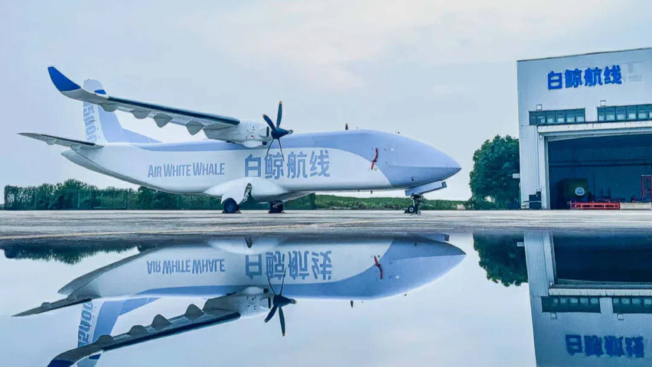 白鲸航线大型无人货运机A轮融资数亿，W5000型号将助力航空货运_资本_创投_设计