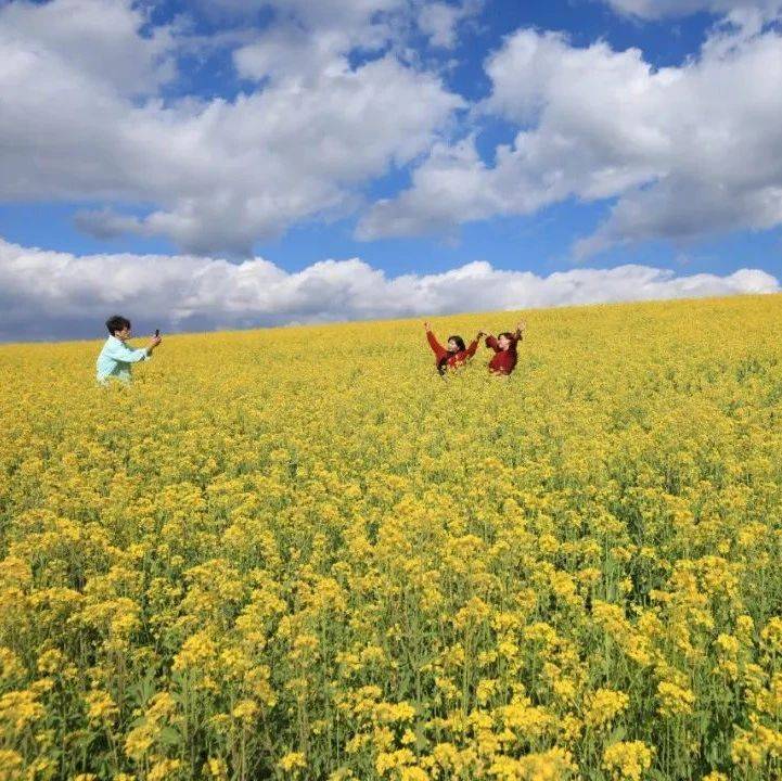 立春至，邂逅云南的盎然春景丨有一种叫云南的生活之365天_凤凰_公园_新华社