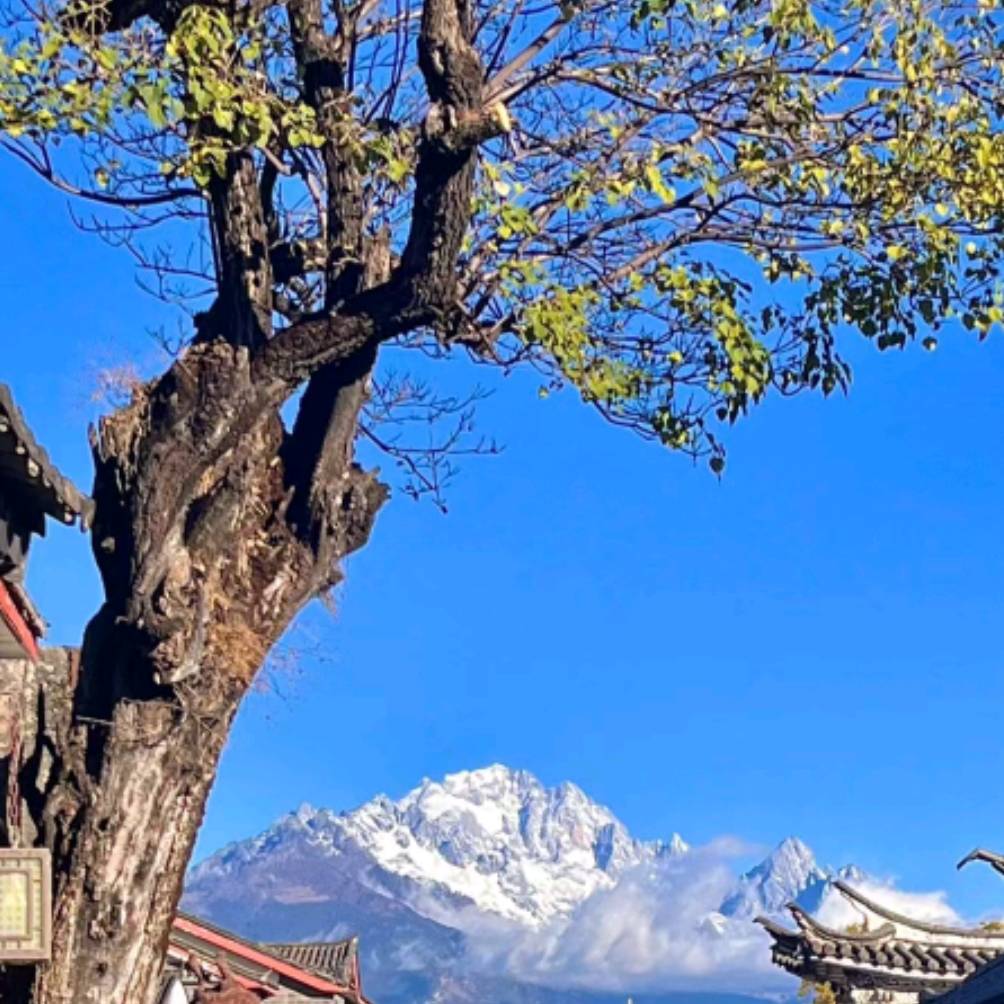 华为笔记本Linux版618特惠来袭，让智慧生活触手可及_MateBook_性能_Ultra