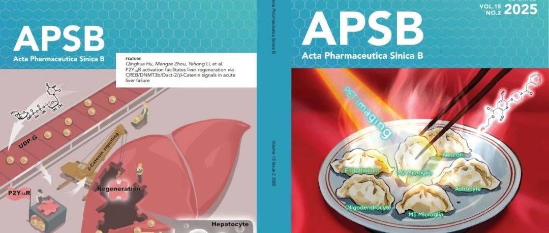 【APSB】2025年2期_Liang_Zhang_Acta