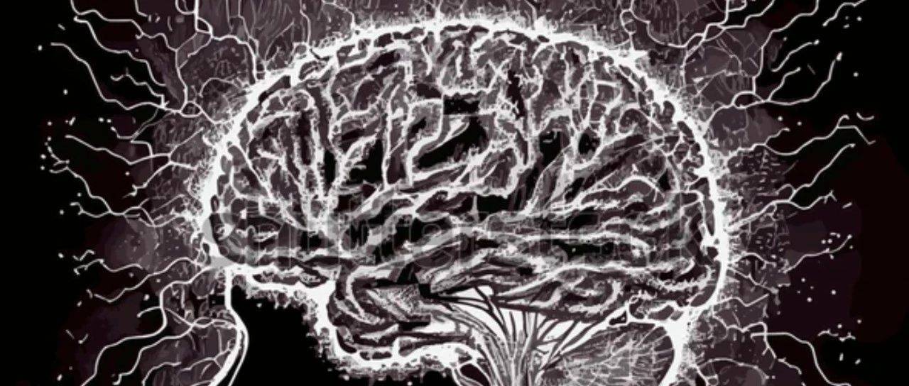 这些脑部疾病很常见，但常常未被诊断！_功能性_症状_神经