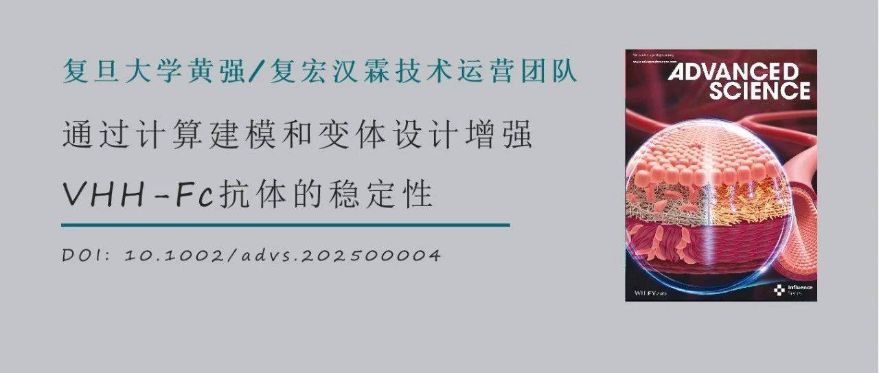 复旦大学黄强/复宏汉霖技术运营团队AS：通过计算建模和变体设计增强VHH-Fc抗体的稳定性_an_Science_期刊