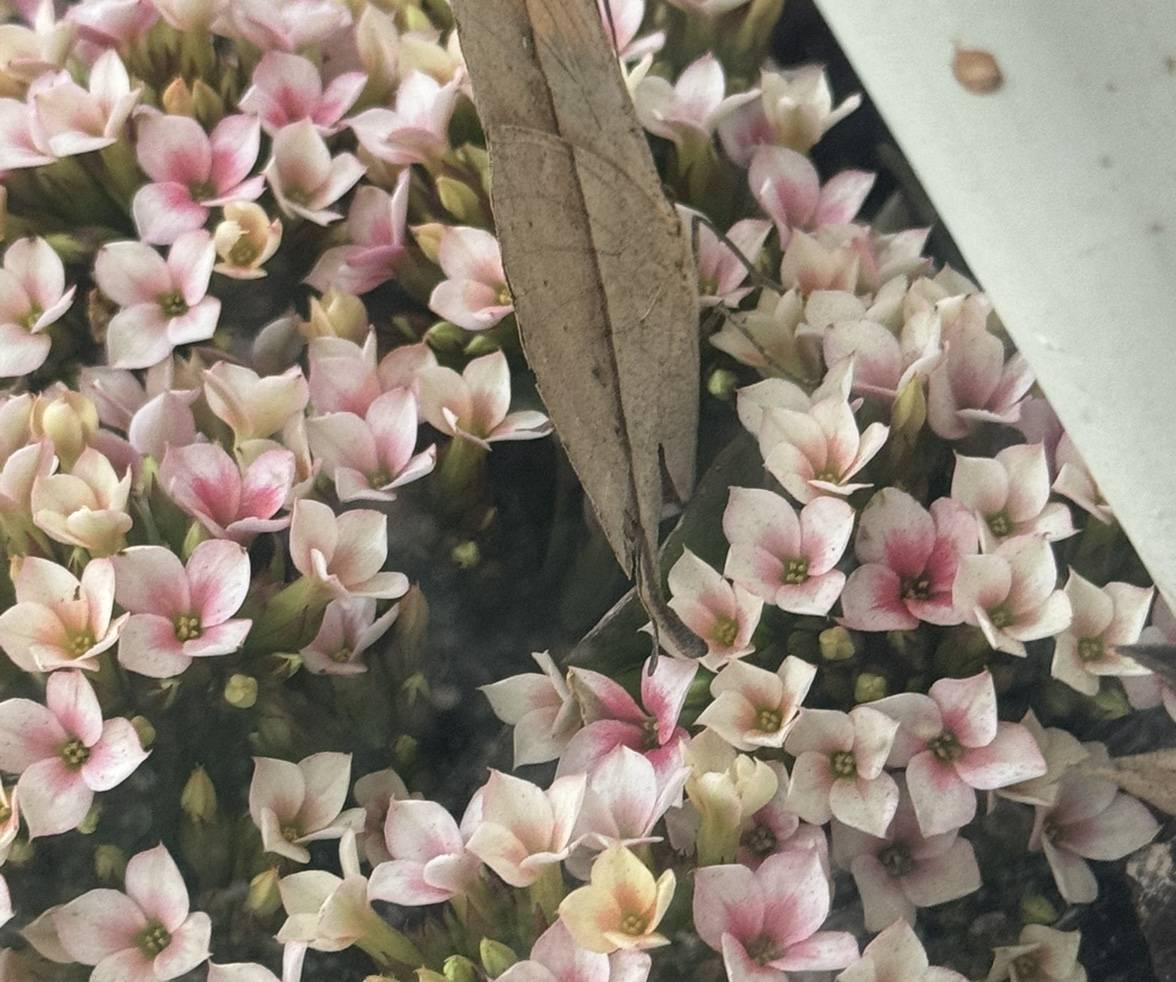 告别永恒之塔2崩溃！解决Fatal Error闪退终极指南_游戏_网络_玩家