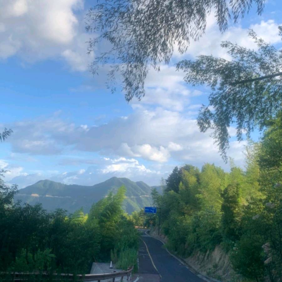 WTT冠军赛横滨站8月7日全日赛程孙颖莎比赛时间已定林诗栋遇强敌_林昀儒_王楚钦_首局