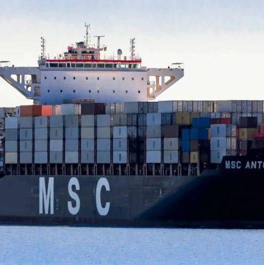 MSC推出两条新航线!_中国宁波_服务_市场