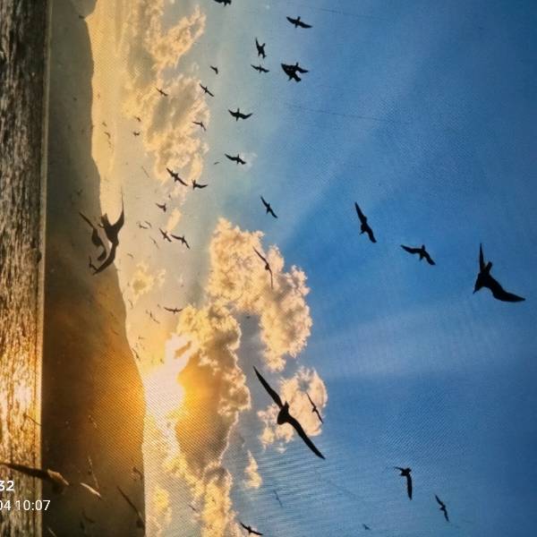 法甲中下游对决前瞻：雷恩 VS 欧塞尔_进攻_客场_主场