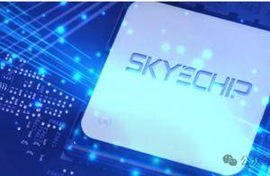 马来西亚首款本土自研AI芯片问世！_设计的_SkyeChip_竞争
